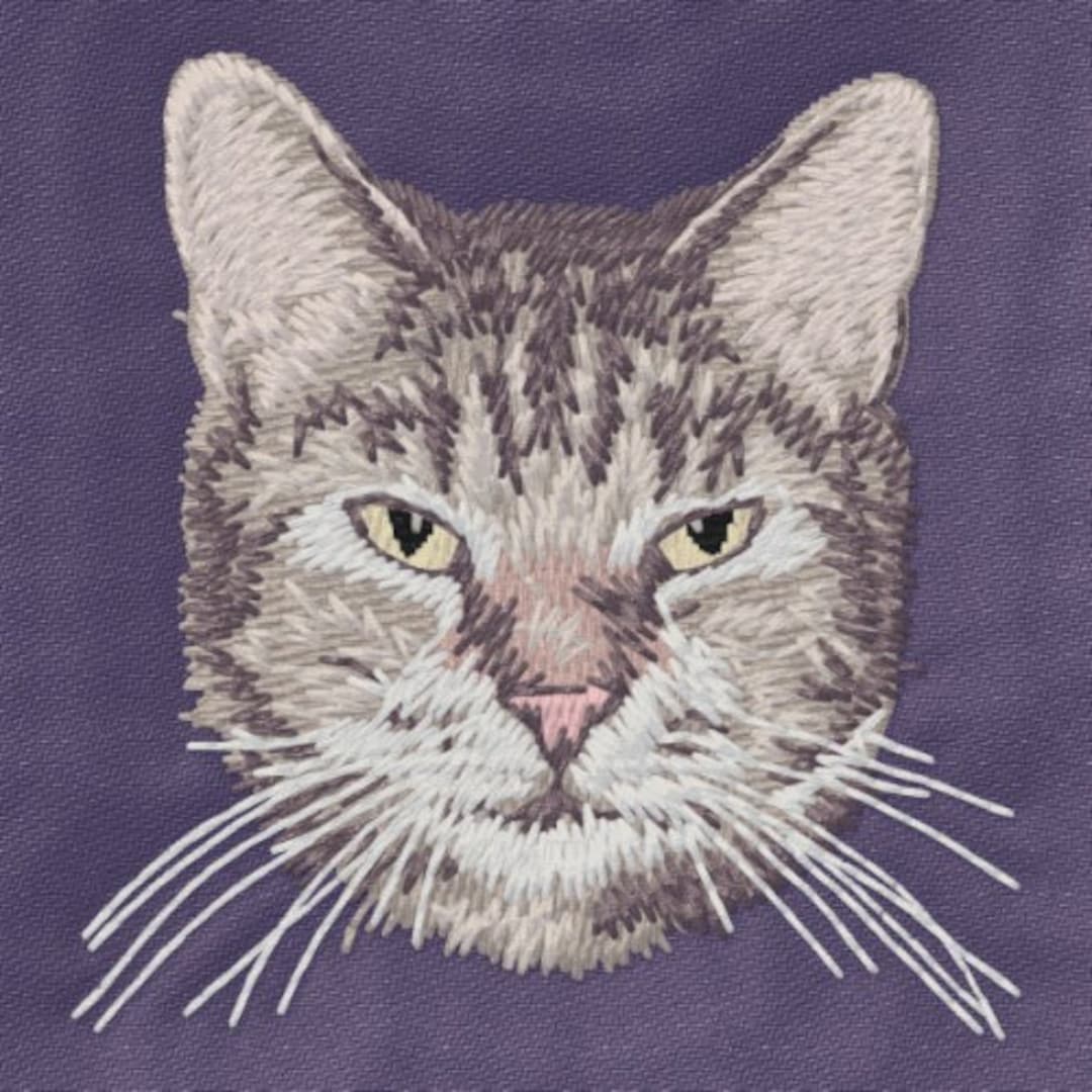 Tabby Kitten English Domestic Cat Embroidered Patches - Etsy
