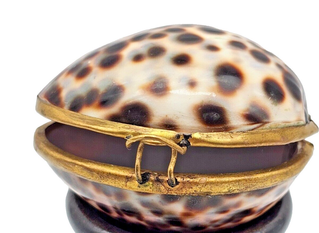 Vintage Natural Cowrie Shell Trinket Ring Coin Box W Handmade Wire ...