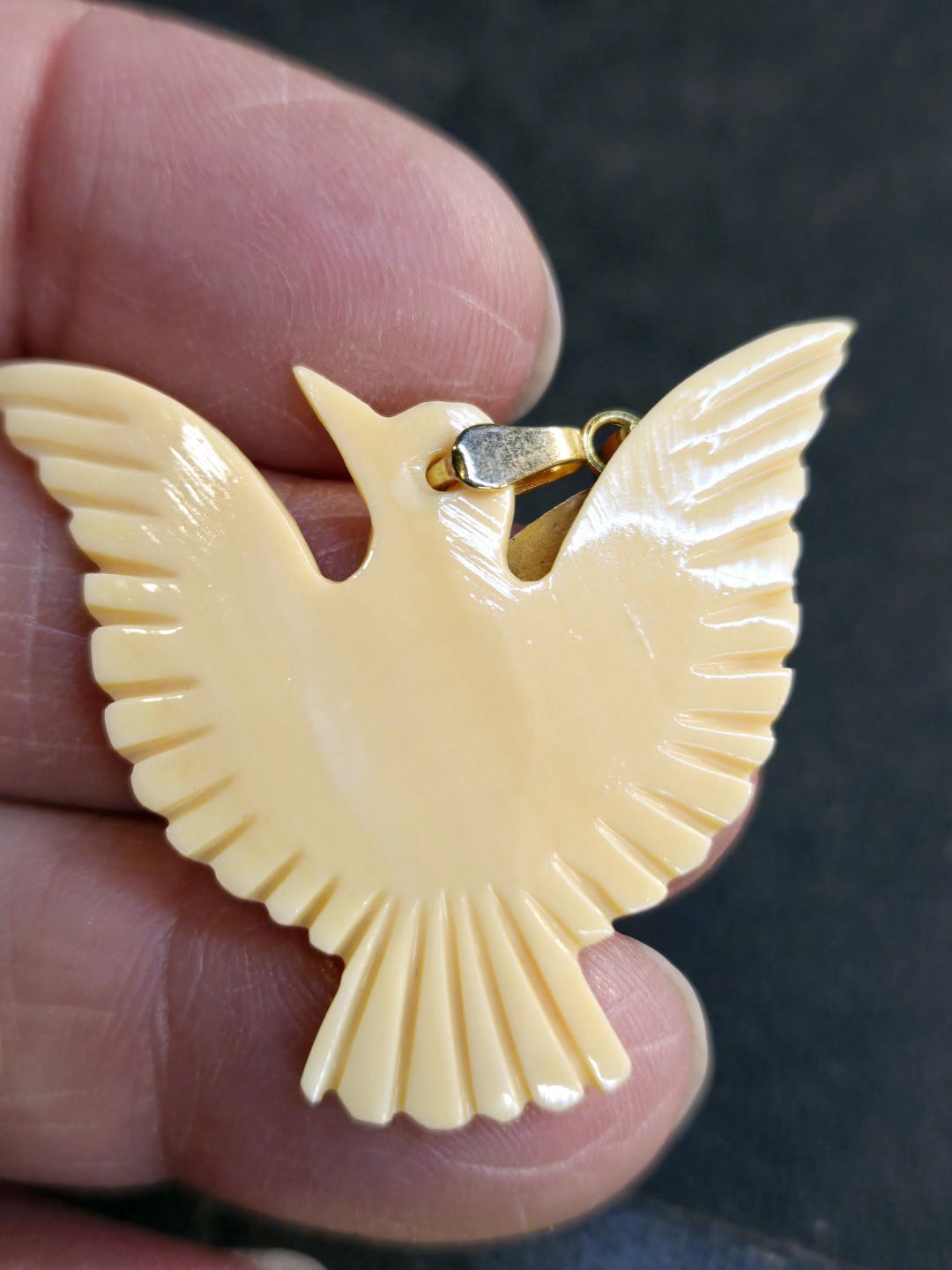 Vintage Melon Shell Carved Eagle Charm/pendants, Bird, - 1 Piece ...