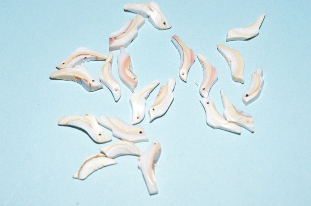 Vintage, Philippine Luana Shell Bird Fetish Beads. Tribal, Native ...