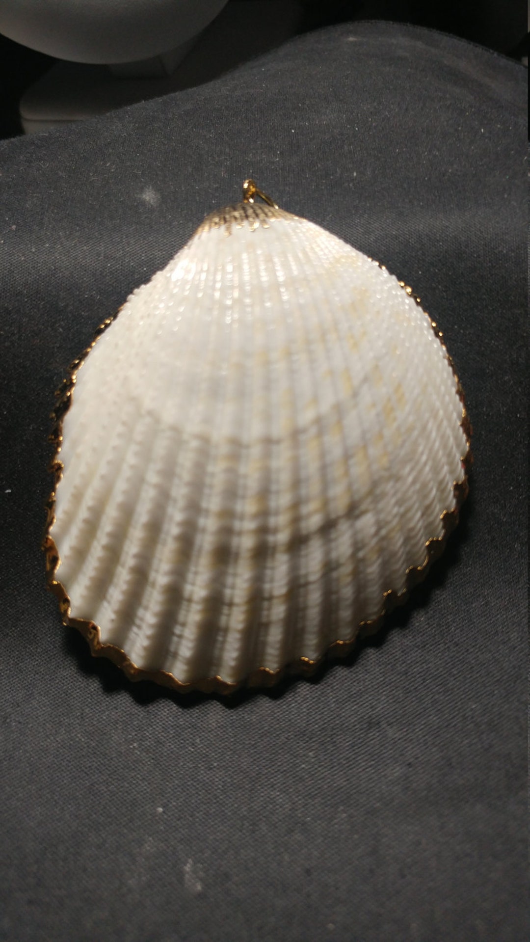 Vintage Gold Edged Large Shells Pendants. (1060456 - SP9-2-01 - Etsy