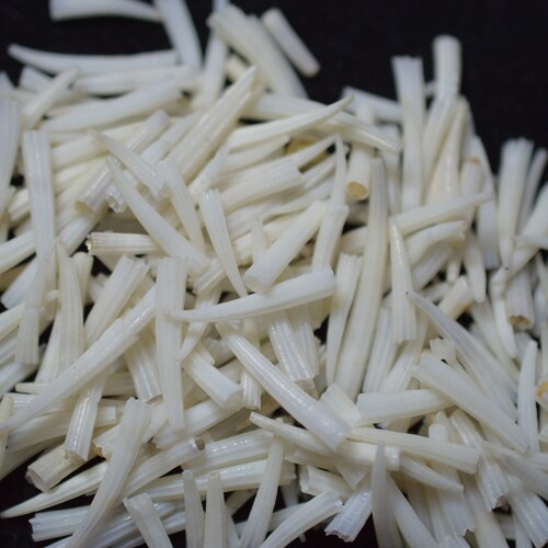 Small White Dentallium Tusk Shells 2041588 - Etsy