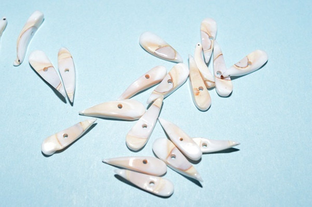 Vintage, Philippine Luana Shell Bird Fetish Beads. Tribal, Native ...