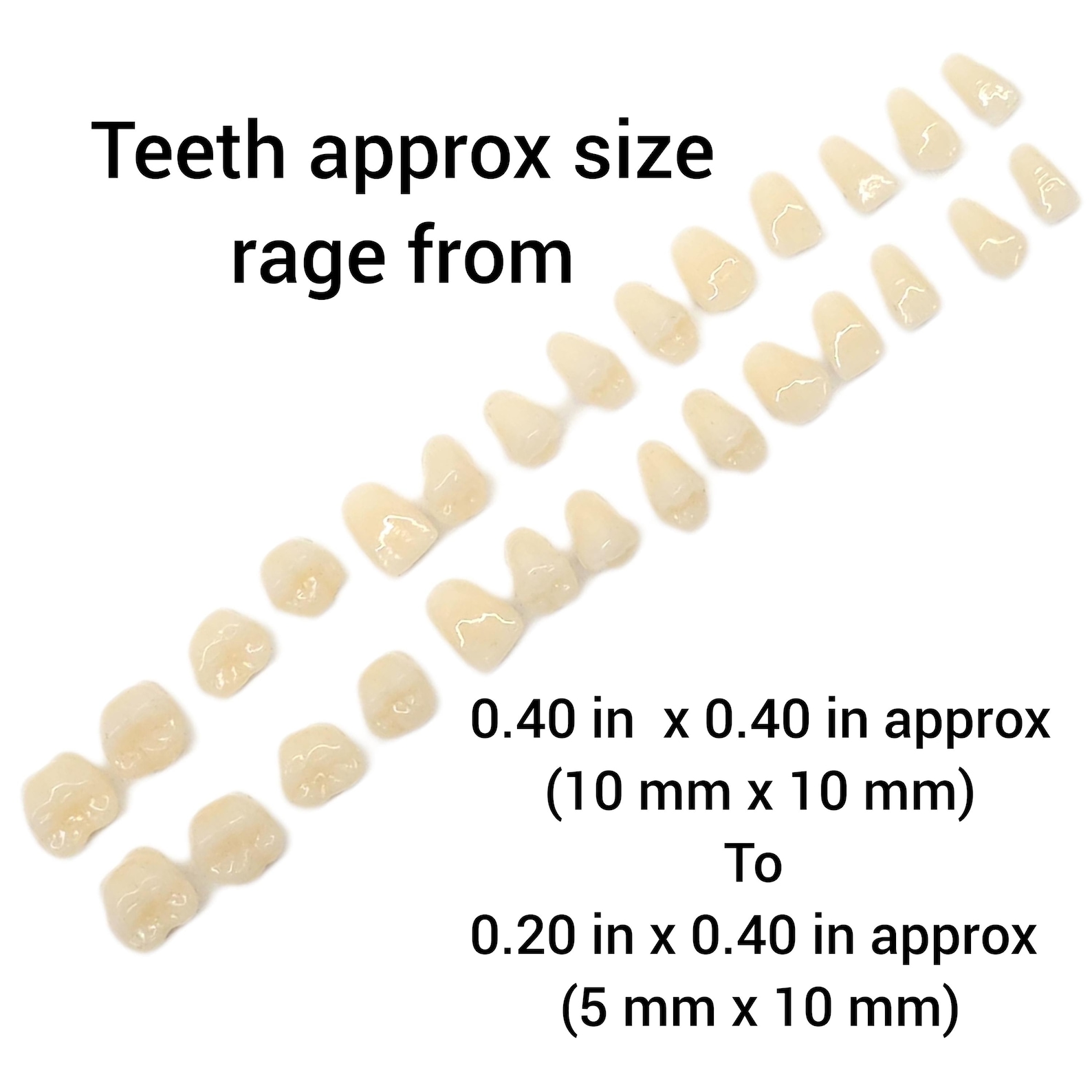 Realistic Human Teeth Silicone Mold for Soap, Candle, Resin Crafts - Etsy