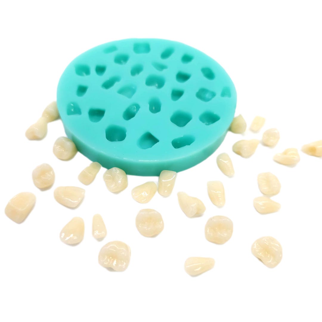 Realistic Human Teeth Silicone Mold for Soap, Candle, Resin Crafts - Etsy