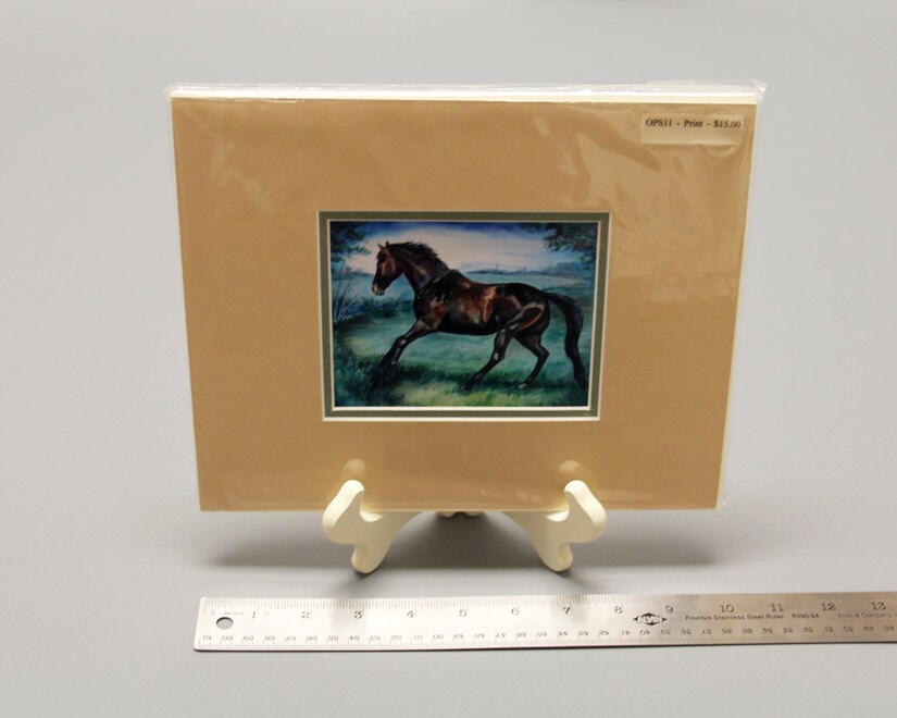 Photography Visual Arts small format art aceo's SFA's 13cm matted ...