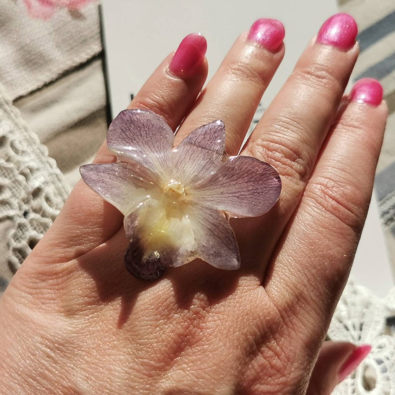 Orchids Blooming - Etsy