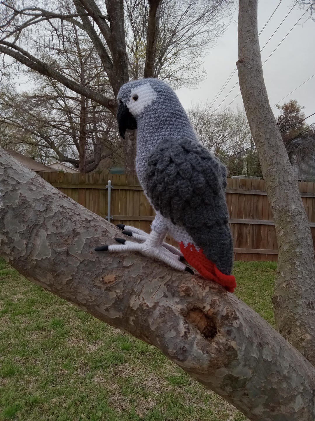 African Grey, Crocheted African Grey, African Grey Parrot, Realistic ...