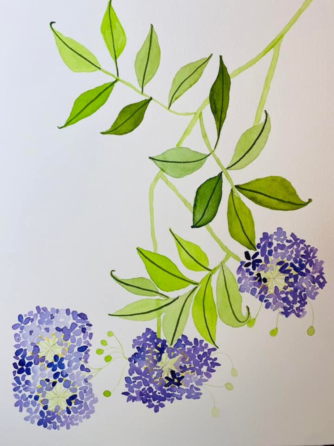 Watercolor Crepe Myrtle With Leaves, on Arches Cold Press Paper ...