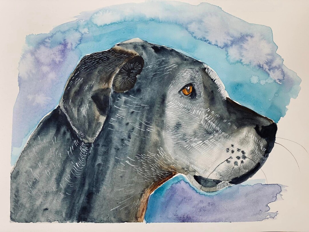 Watercolor Great Great Dane on Arches Hot Press Paper, Size 9 X 12 ...