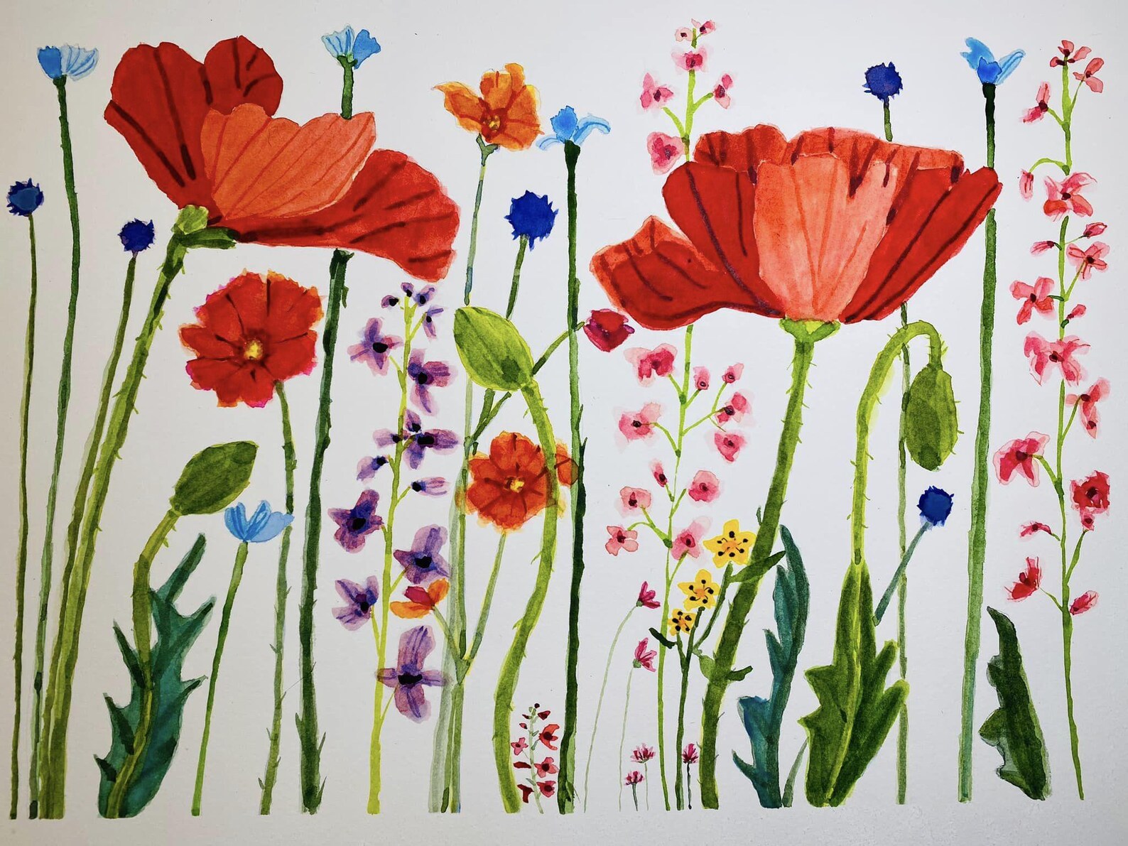 Watercolor Painting of Poppy Doodle Flowers Painted on Arches Hot Press ...