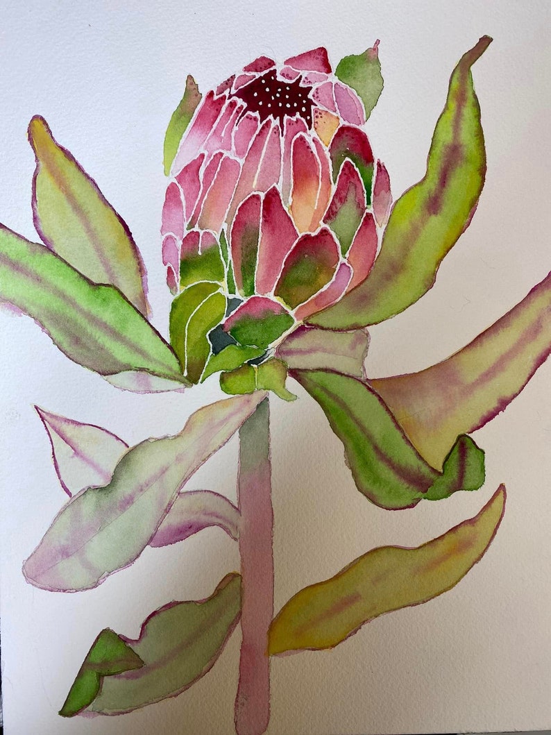 Watercolor Protea Plant Painted on Arches Cold Press Paper Size 9 X 12 ...