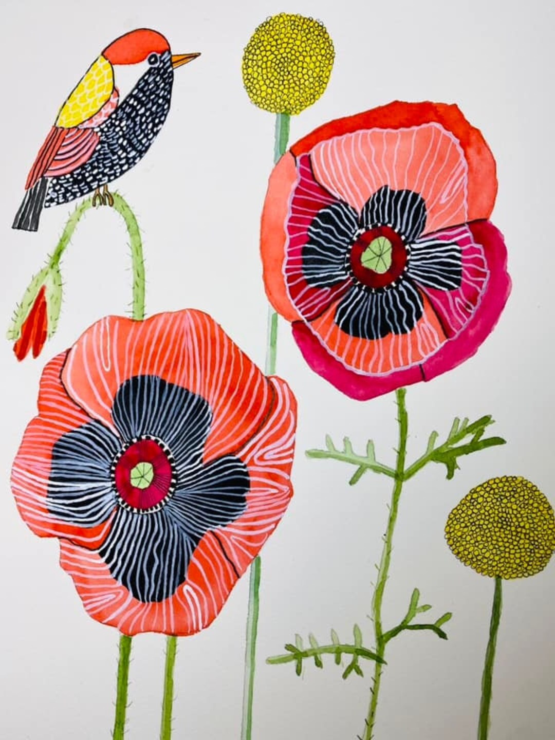 Watercolor Painting of Red Poppies With Bird on Saunders Waterford Cold ...