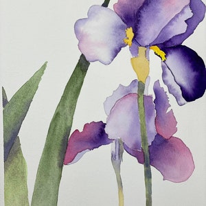 Watercolor Purple Irises on Lanaquarelle Cold Press Paper 9 X 12 ...