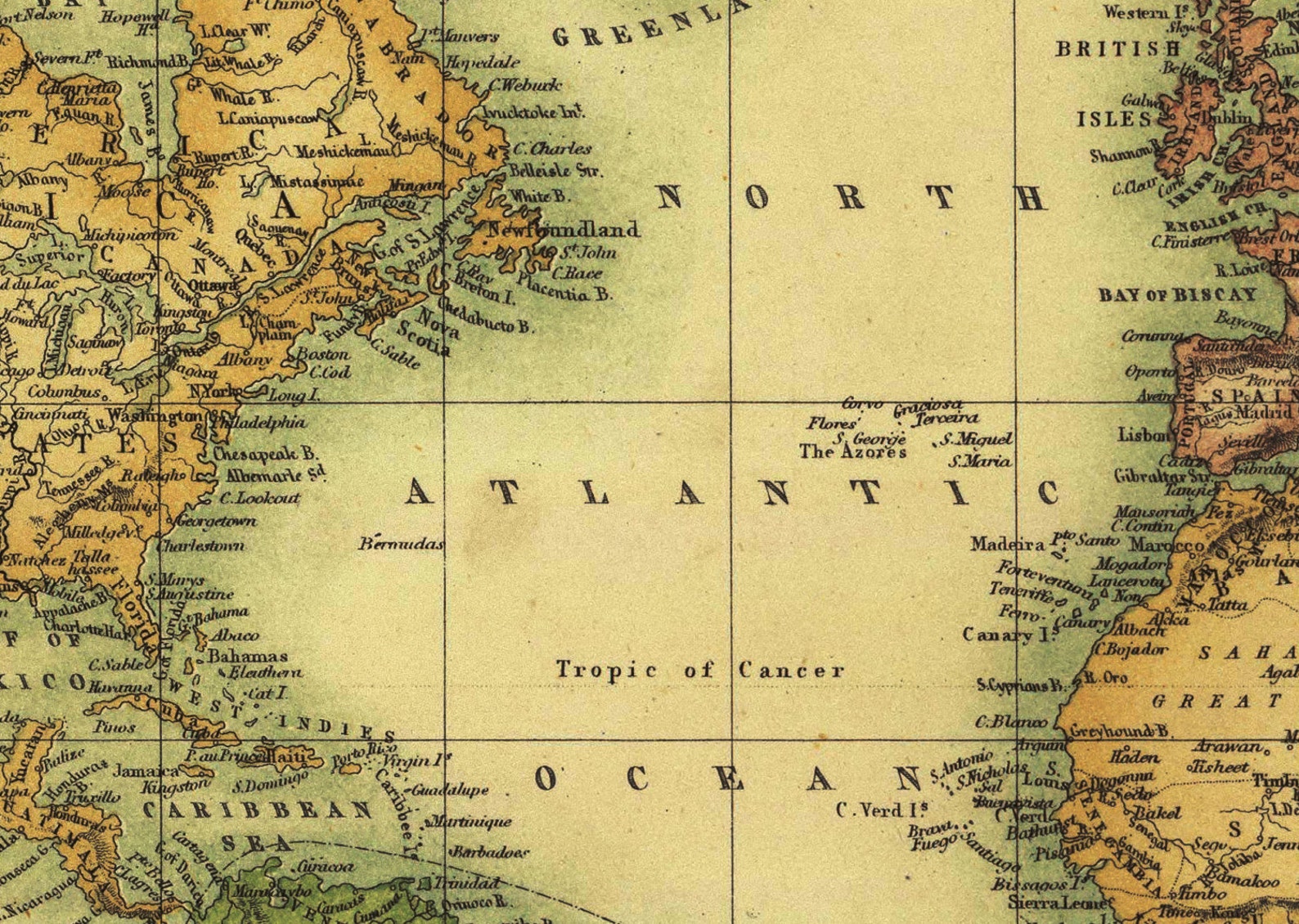 Large Old World Map the World on Mercator's Projection | Etsy