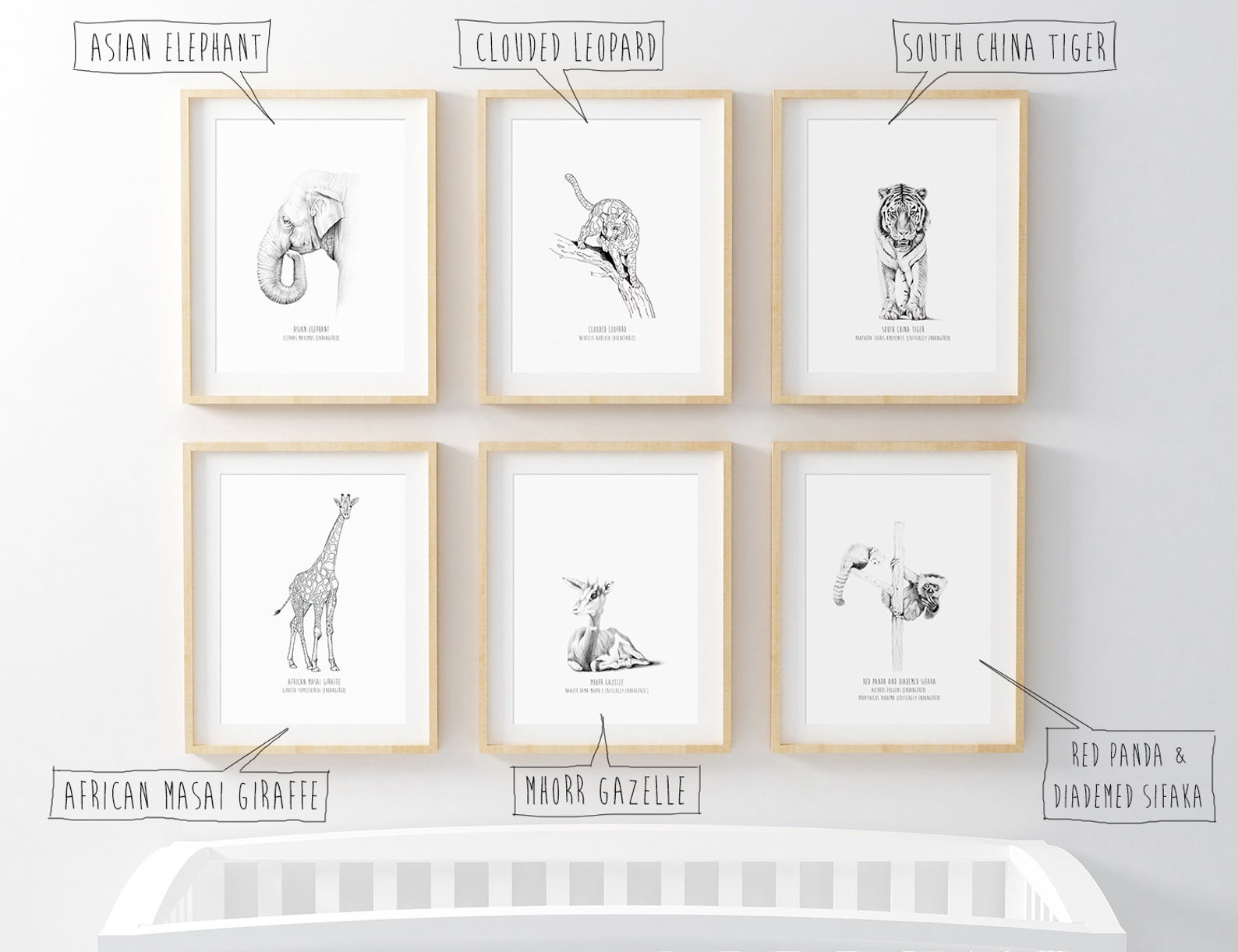 3 Animal Prints for Nursery Kids Wall Art - Etsy