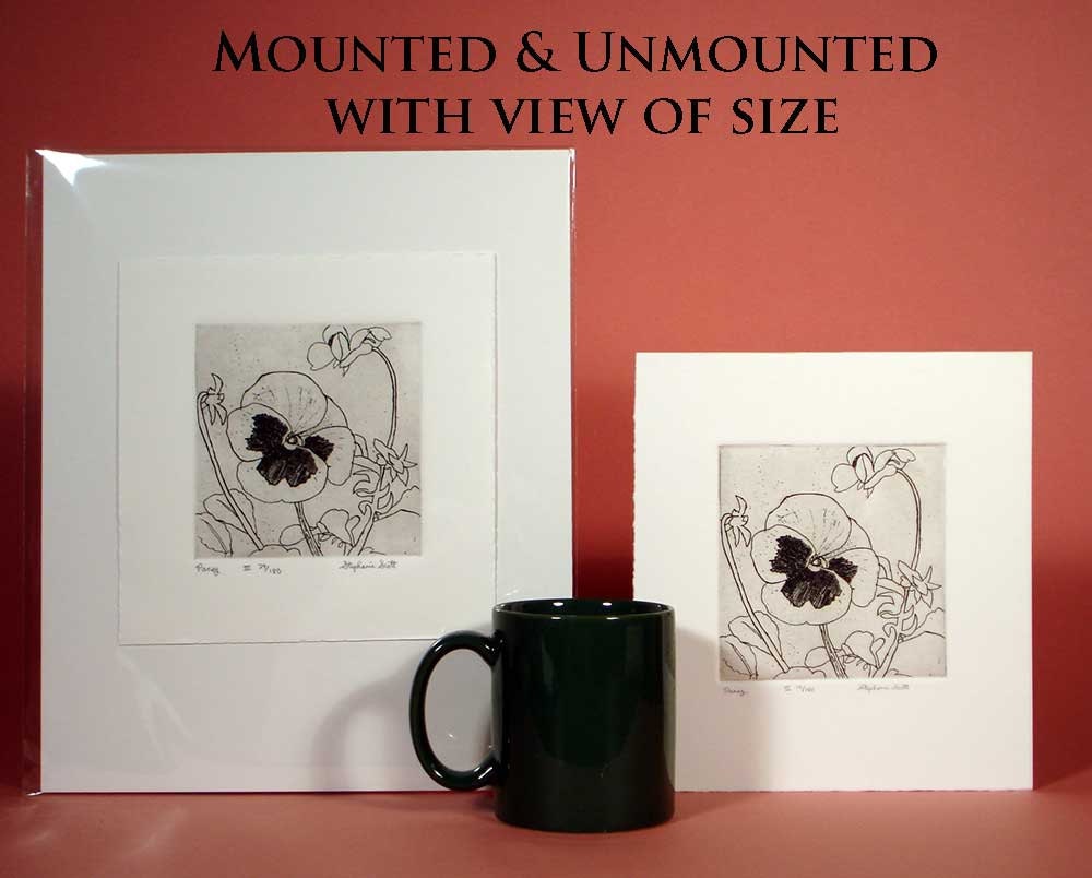 Pansy Original Etching & Engraving Hand-printed Limited - Etsy
