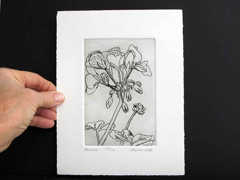 Geranium - Original Etching & Engraving, Hand-printed, Limited Edition ...