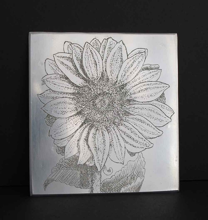 Sunflower - Hand Printed, Black & White Original Intaglio Etching and ...