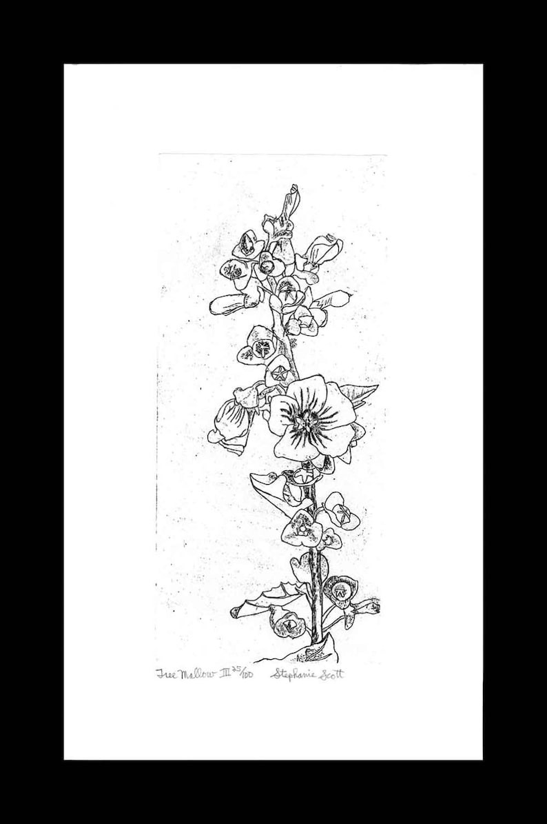 Tree Mallow Original Etching & Engraving Hand-printed - Etsy