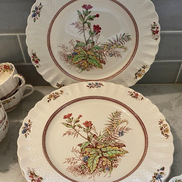Spode China - Etsy