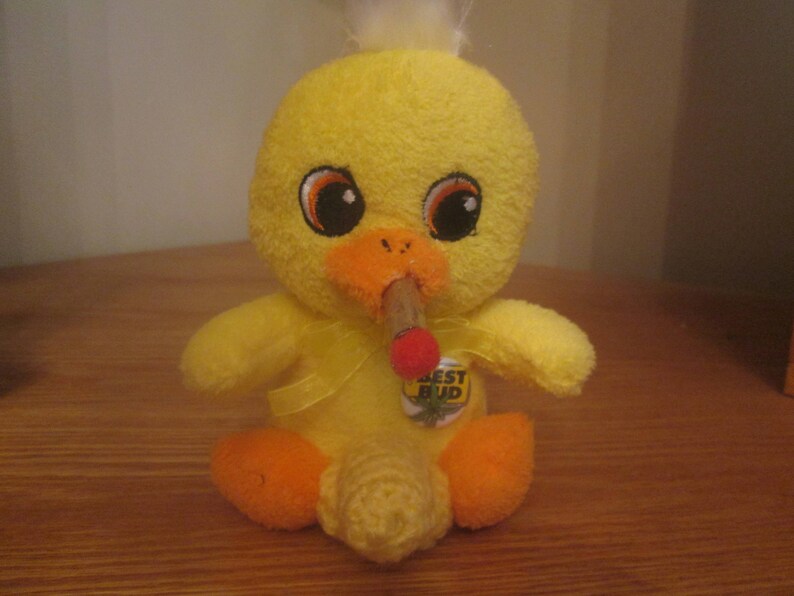 STONER ANIMALS Weed Smoking Chick Pot Smoking Monkey Stoned - Etsy