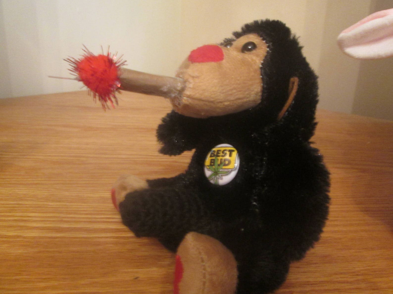 STONER ANIMALS Weed Smoking Chick Pot Smoking Monkey Stoned - Etsy