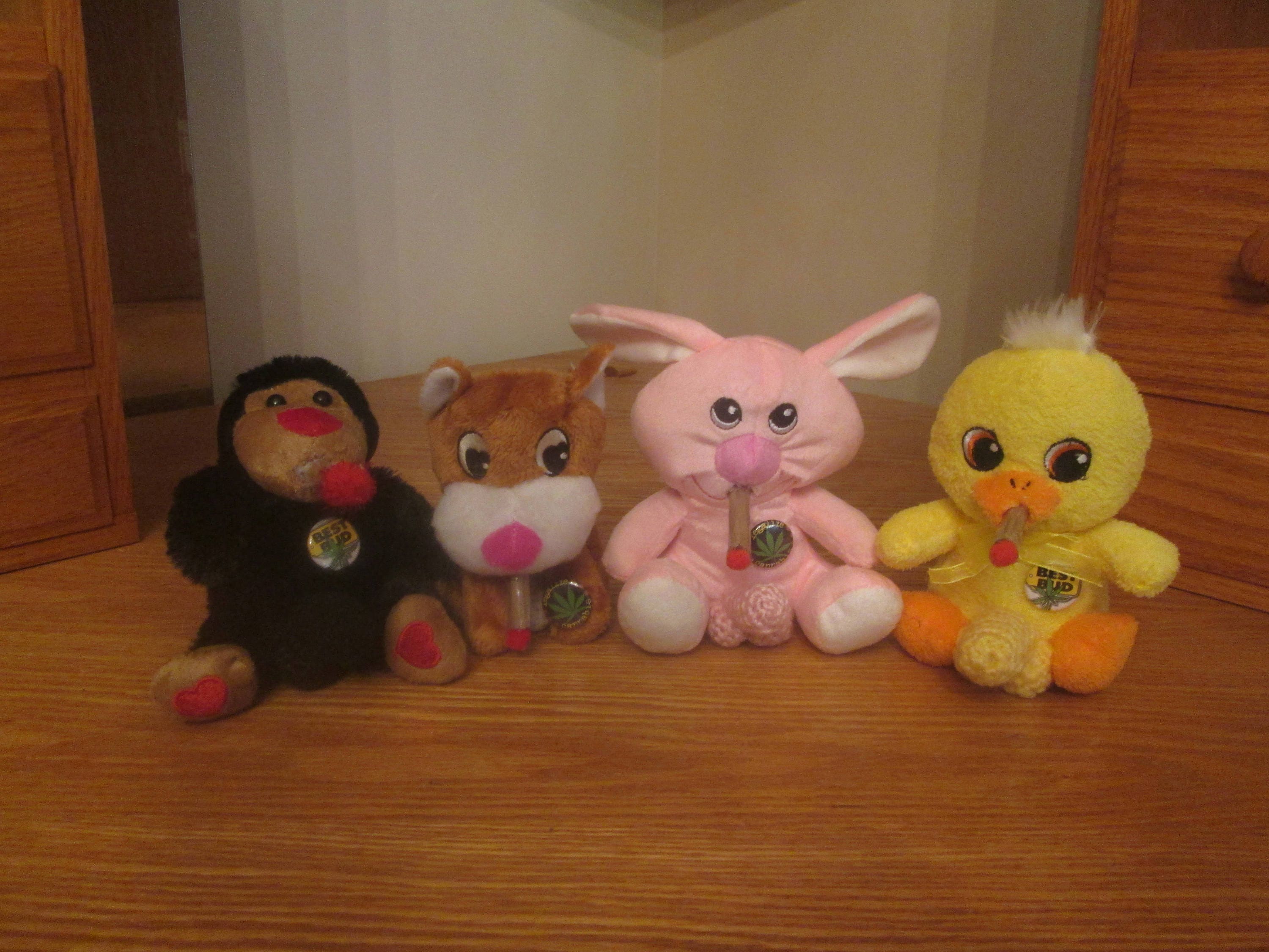 Animals Smoking Weed