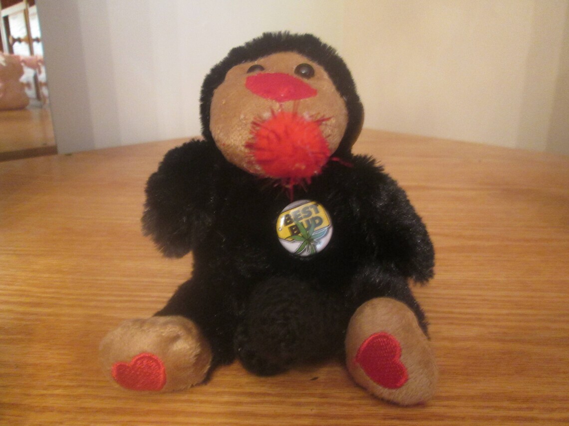 STONER ANIMALS Weed Smoking Chick Pot Smoking Monkey Stoned - Etsy