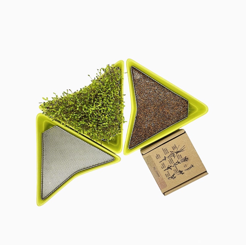 Sprouters, Sprouting Box, Sprouting Vessel, Sprouting Container - Etsy