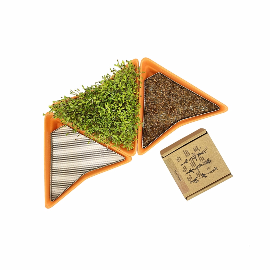Orange Ceramic Sprouters, Germinator, Sprouting Tray - Etsy
