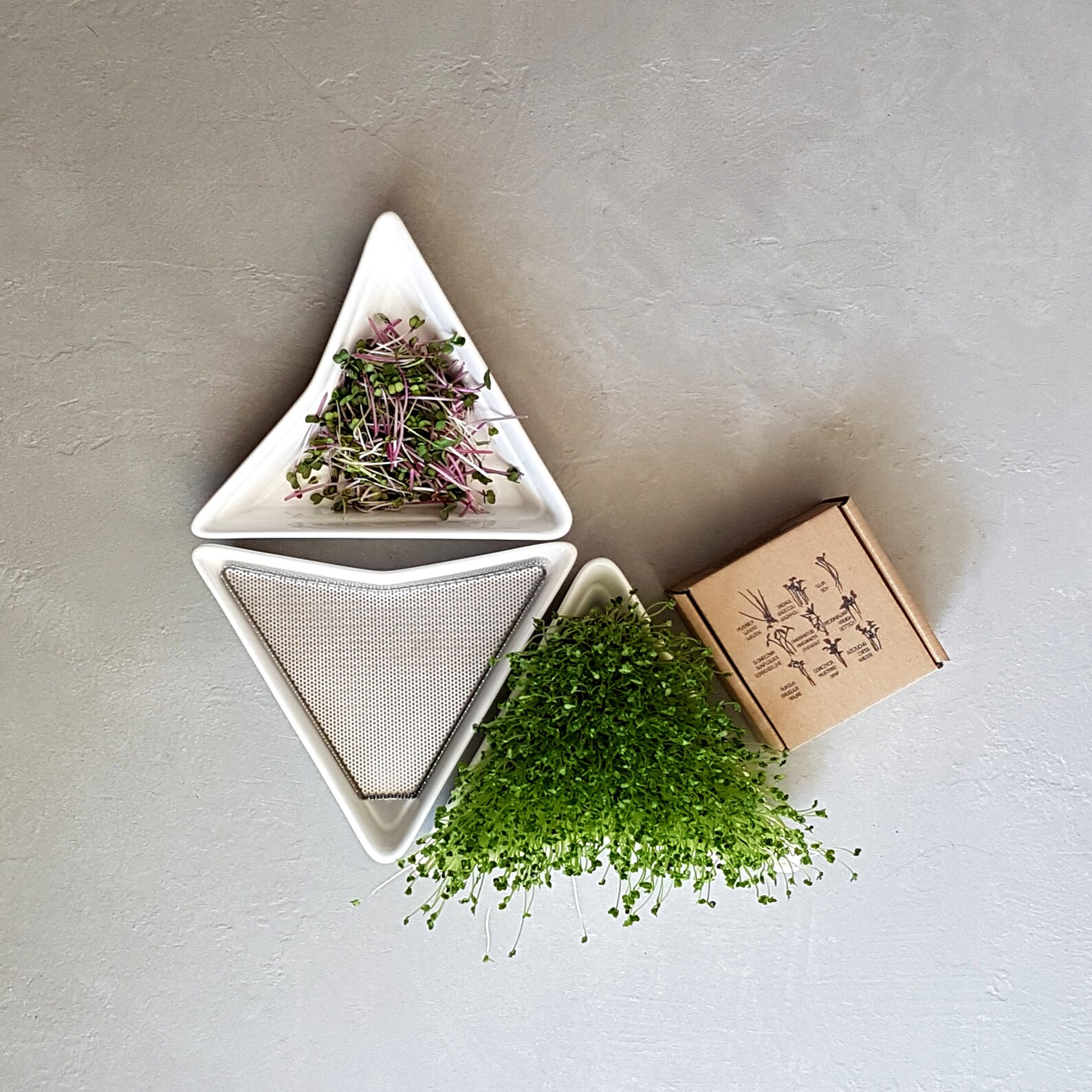 Sprout Tray 3 Pieces Microgreen Tray Sprout Kit Germination - Etsy