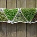 3 Ceramic Sprouters, Microgreen Tray, Sprout Kit, Germination Kit - Etsy