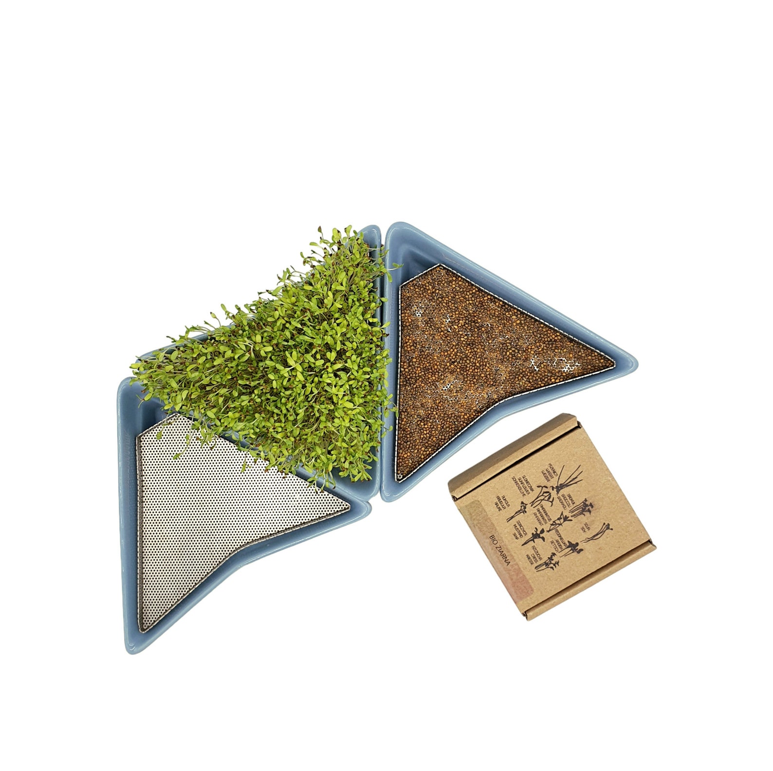 Blue Sprouters, Sprouting Box, Sprouting Vessel, Sprouting Container - Etsy