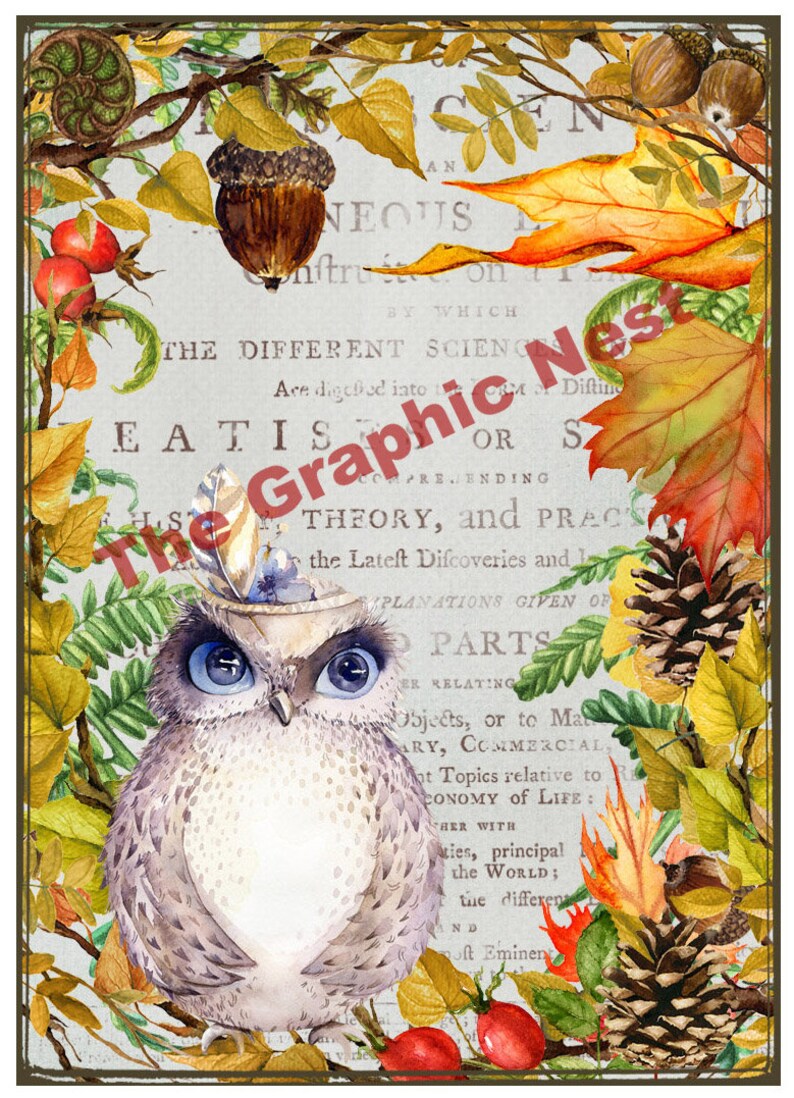 Fall Birds ATC Cards. Digital Download. - Etsy