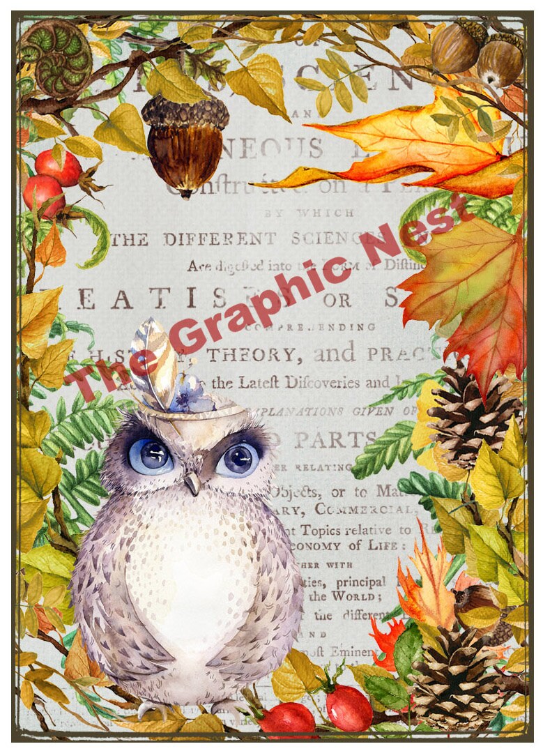 Fall Birds ATC Cards. Digital Download. - Etsy