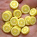 CITRUS LEMON FIMO Slices for Craft in Gift Box Polymer Clay Diy Lemon ...
