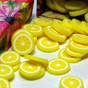 CITRUS LEMON FIMO Slices for Craft in Gift Box Polymer Clay Diy Lemon ...