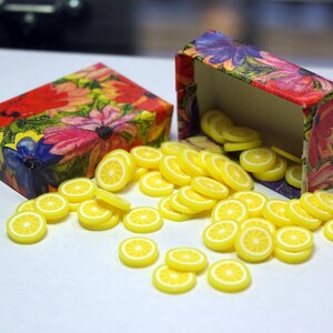 CITRUS LEMON FIMO Slices for Craft in Gift Box Polymer Clay Diy Lemon ...