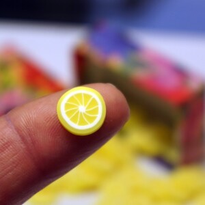CITRUS LEMON FIMO Slices for Craft in Gift Box Polymer Clay Diy Lemon ...