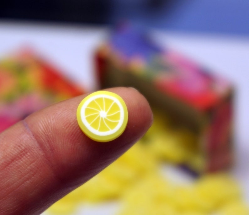 CITRUS LEMON FIMO Slices for Craft in Gift Box Polymer Clay | Etsy
