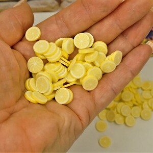 CITRUS LEMON FIMO Slices for Craft in Gift Box Polymer Clay Diy Lemon ...