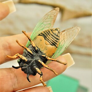 LIFELIKE CICADA HALLOWEEN Bug, Educational Toy, Real Looking Cicada ...