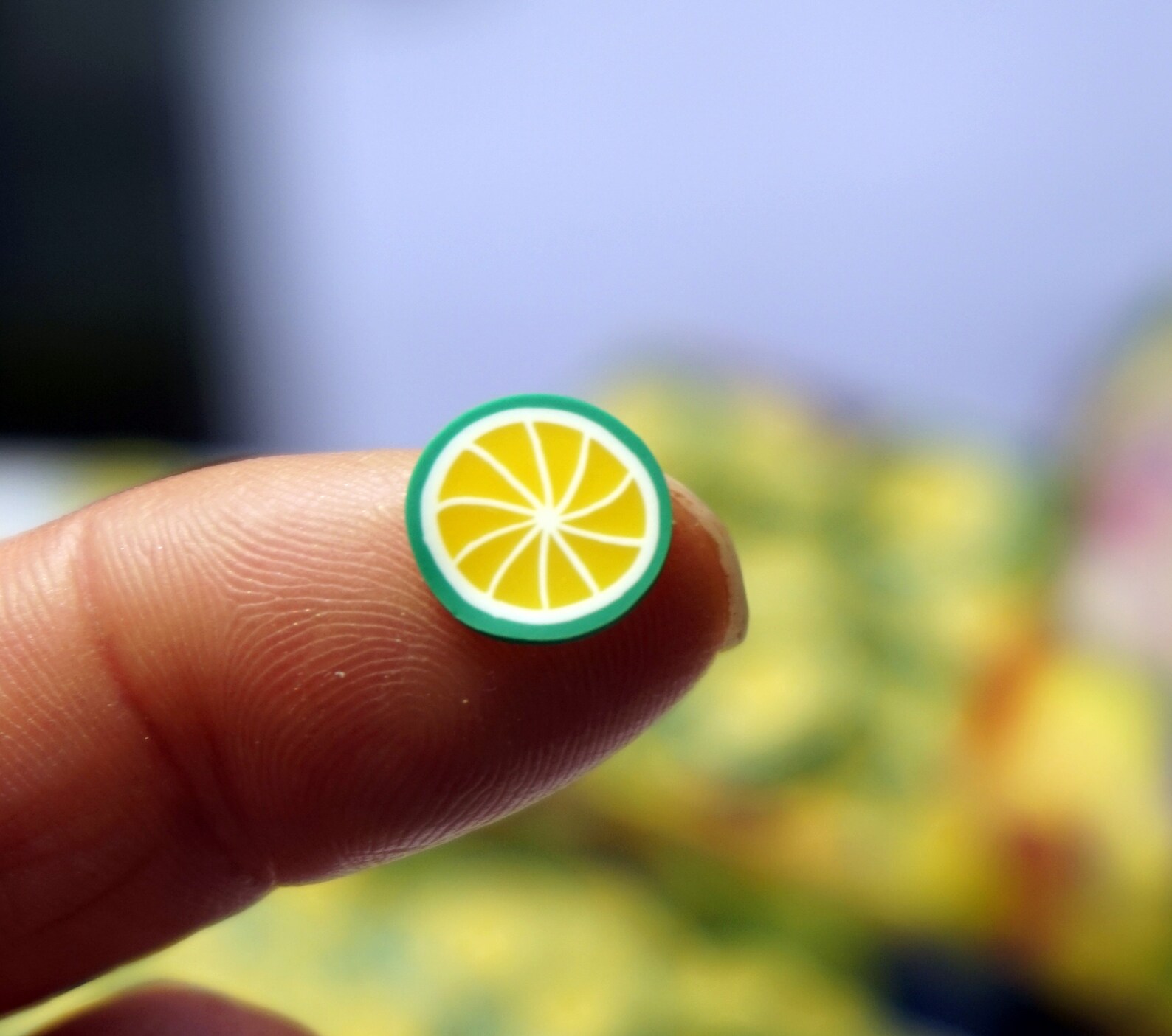 LIME FIMO Slices for Craft in Gift Box Polymer Clay CITRUS | Etsy