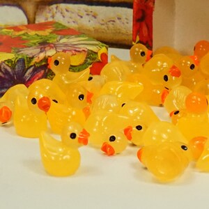 MINI YELLOW DUCKS Fairy Garden Animals Miniature Figures Tiny Baby ...