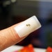 DOLLAR SIGN CHARMS for Nails Dollar Sign Nail Decals 3D Nail - Etsy