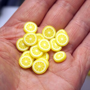 CITRUS LEMON FIMO Slices for Craft in Gift Box Polymer Clay Diy Lemon ...