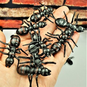 HALLOWEEN GIANT ANTS, Prank Toy, Lifelike Ants, Halloween Party Supply ...