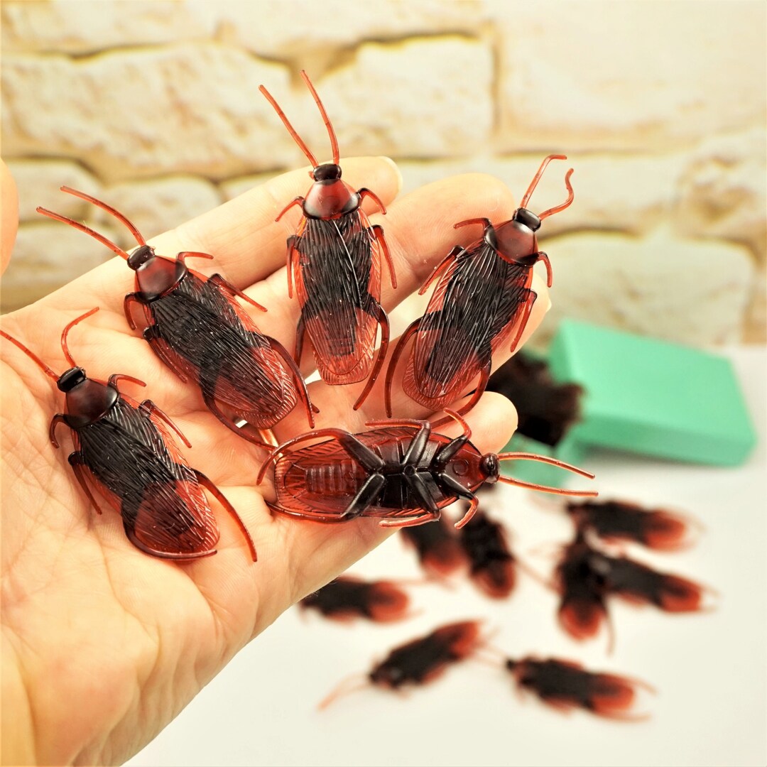REAL SIZE COCKROACH, Halloween Bugs, Lifelike Flies, Big Spiders, Small ...
