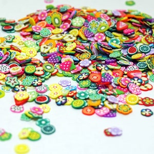 FRUITS FLOWERS FIMO Slices 1000 Fimo Pieces in Gift Box - Etsy